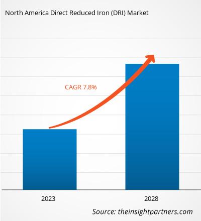 North America Direct Reduced Iron (DRI) Market Scope by 2028